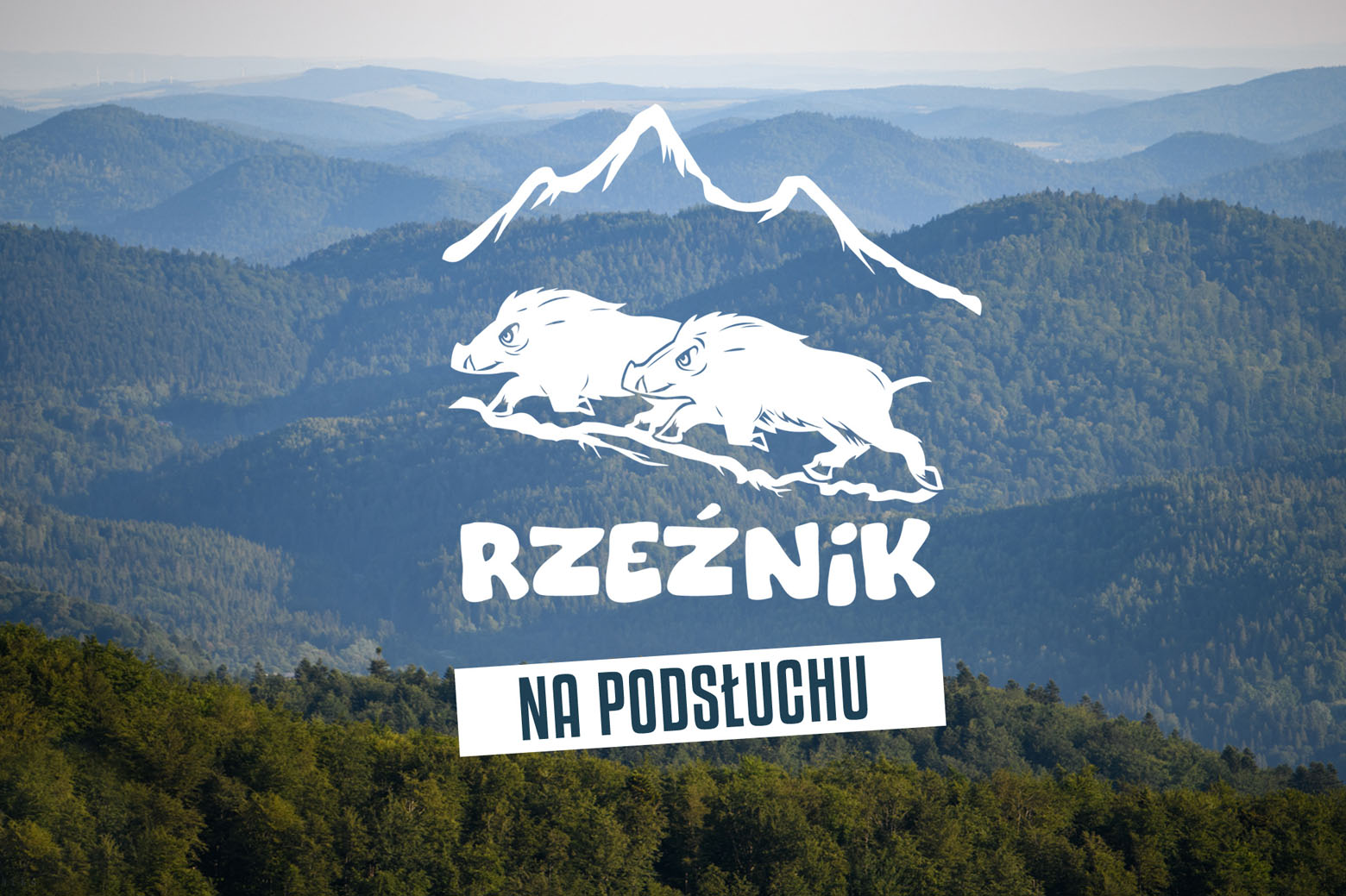 Rzeźnik na podsłuchu odc. 16 – Marek Tronina. – Bieg Rzeźnika Rzeźnik na podsłuchu odc. 16 – Marek Tronina. – Bieg Rzeźnika